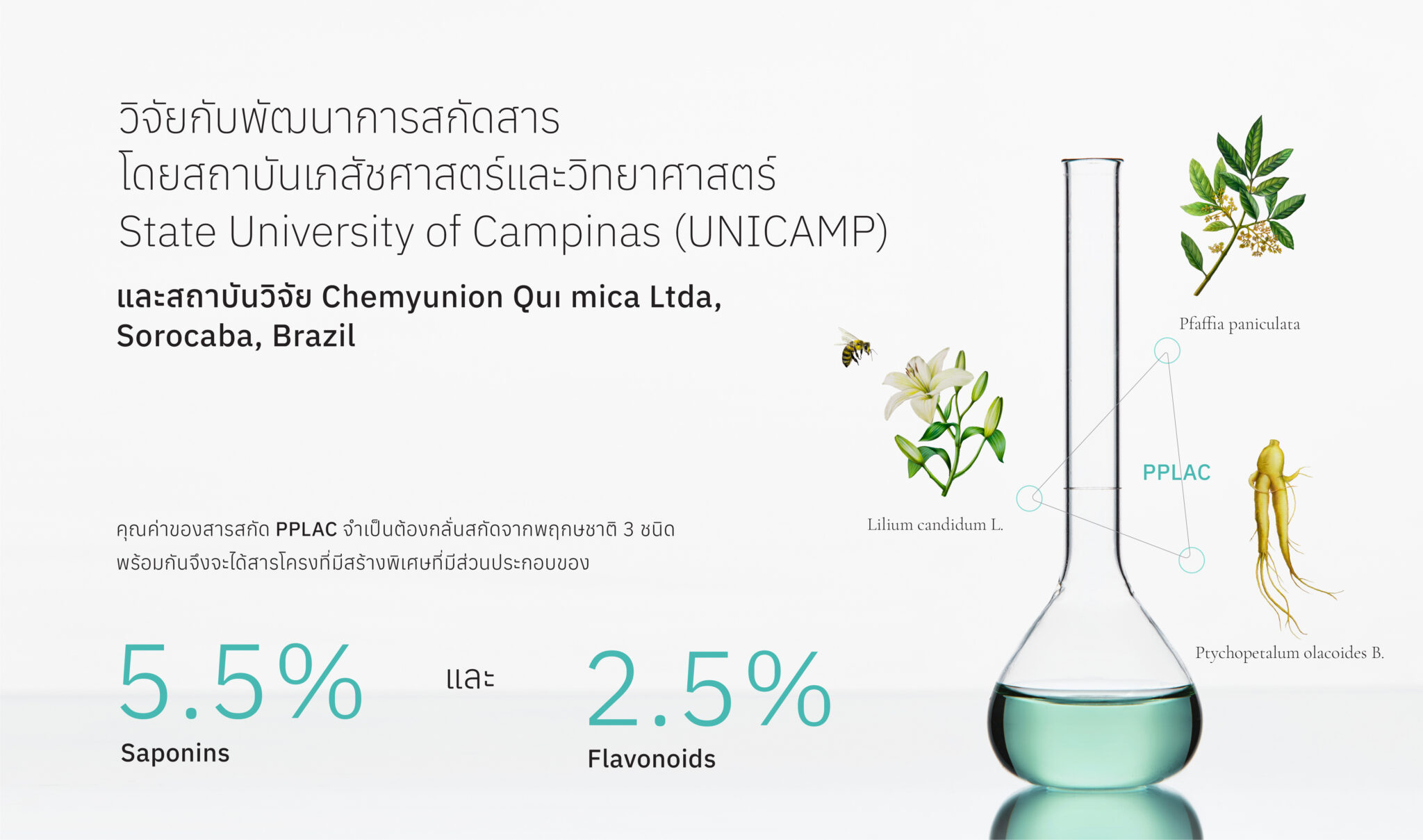 THE EYELAB By Ophthalmologist