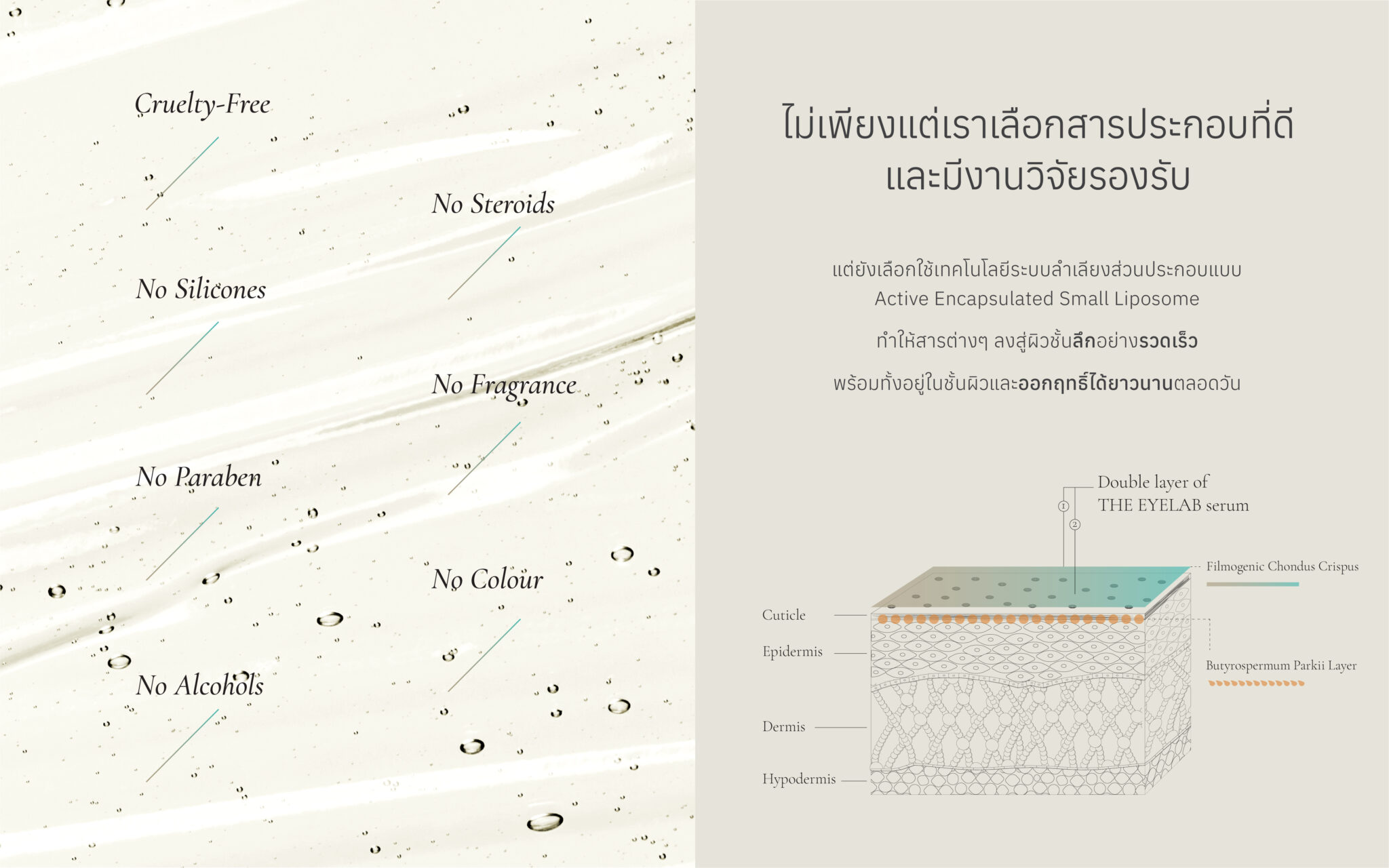 THE EYELAB By Ophthalmologist